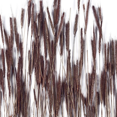 PANNEAU DÉCO LAMINÉ LUXCORE | Plastruction